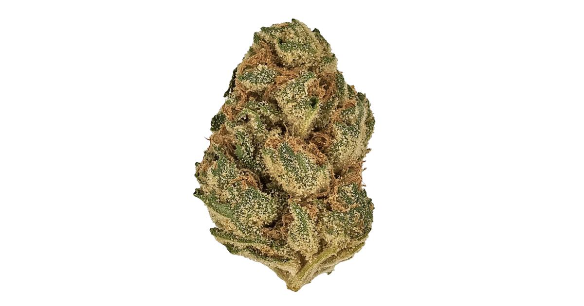 Cherry Cookies Cannabis Strain Information - GrowDiaries