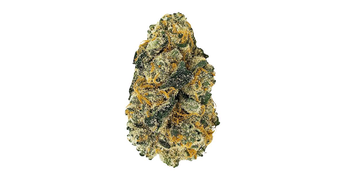 Orange Sherbert Cannabis Strain Information - GrowDiaries