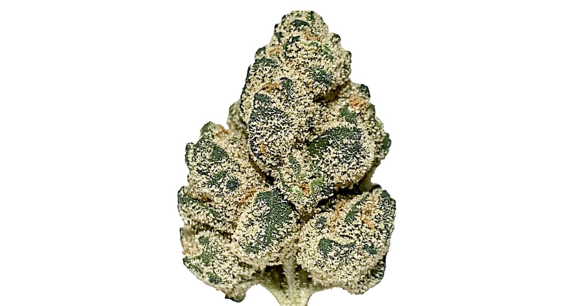Orange Sherbert Cannabis Strain Products - GrowDiaries