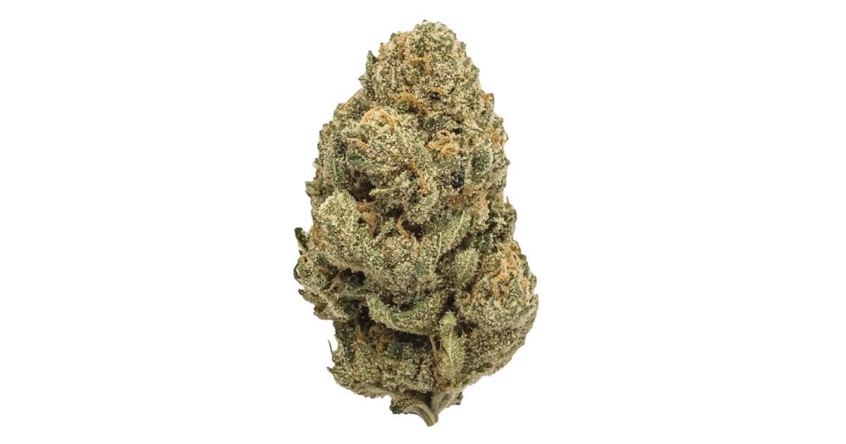 Berry Pie Cannabis Strain Information - GrowDiaries