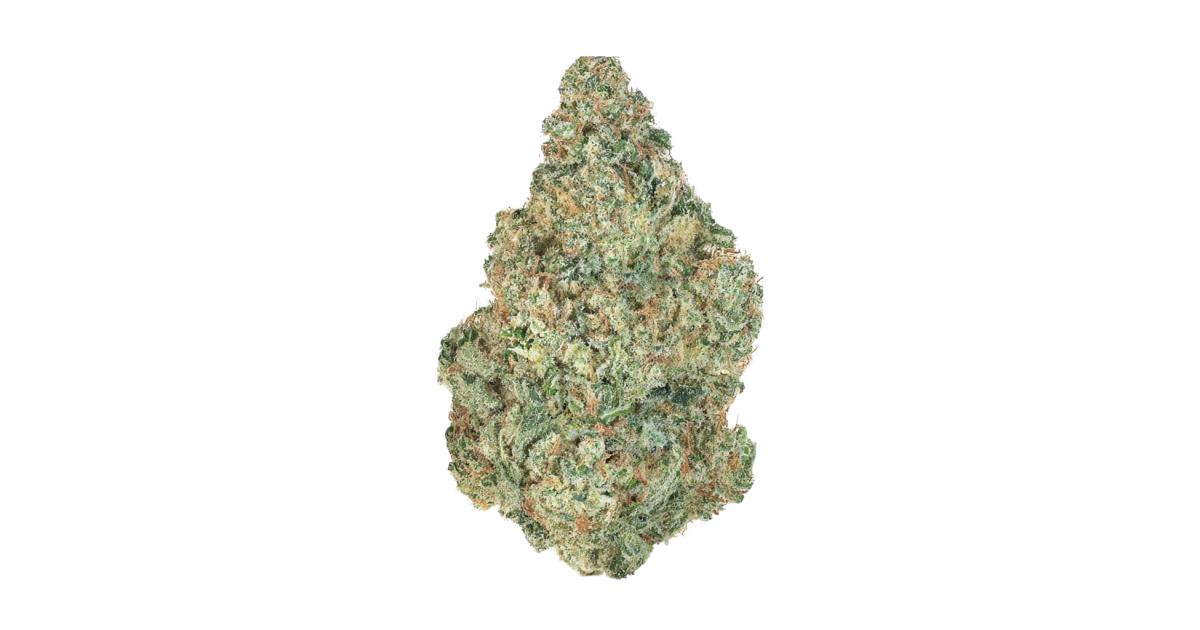 Lemon G Cannabis Strain Information - GrowDiaries