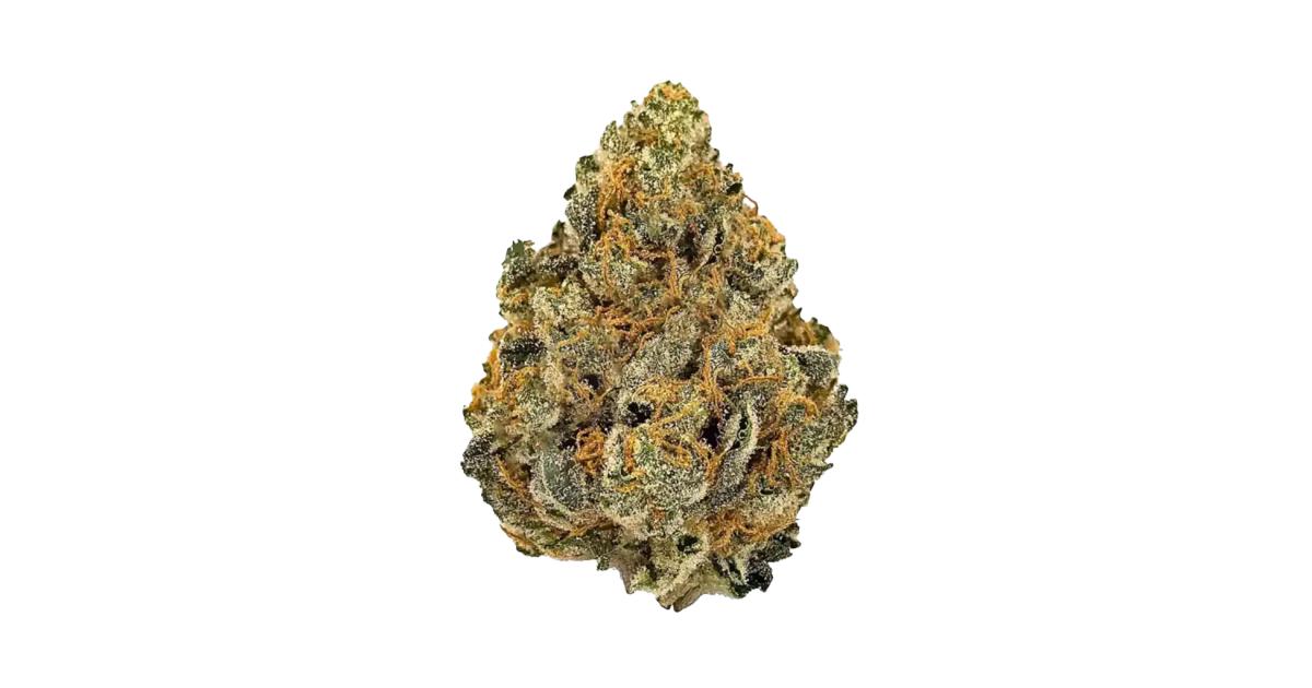 Dark Rainbow Cannabis Strain Information - GrowDiaries