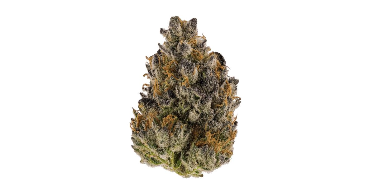 Super Sweet Cannabis Strain Information - GrowDiaries