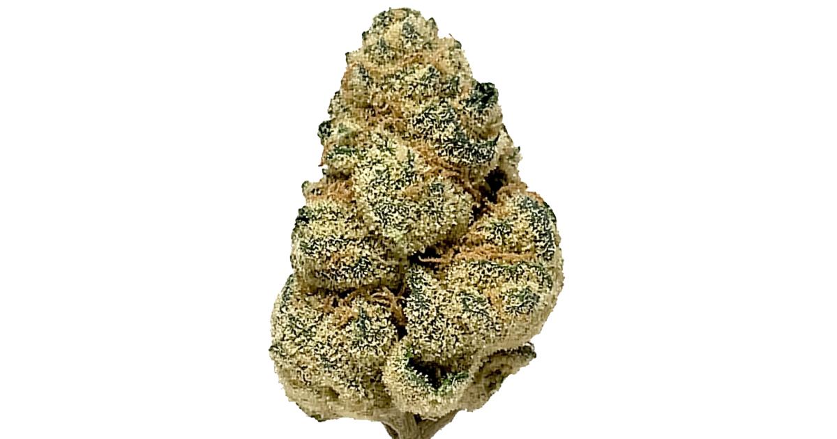 XJ-13 Cannabis Strain Information - GrowDiaries