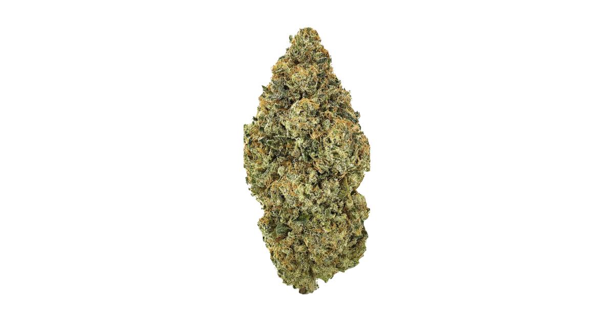 NL5 Haze Mist Cannabis Strain Information - GrowDiaries