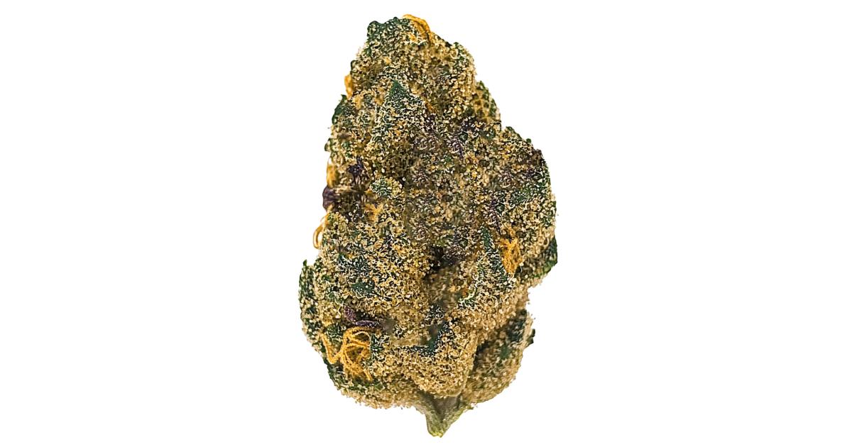 Alohaberry Cannabis Strain Information - GrowDiaries