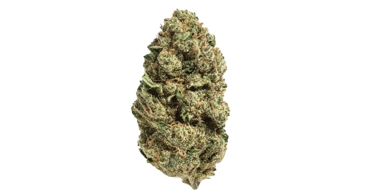 Pink Champagne Cannabis Strain Information - GrowDiaries