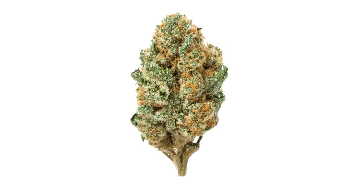 Alien Kush Cannabis Strain Information - GrowDiaries