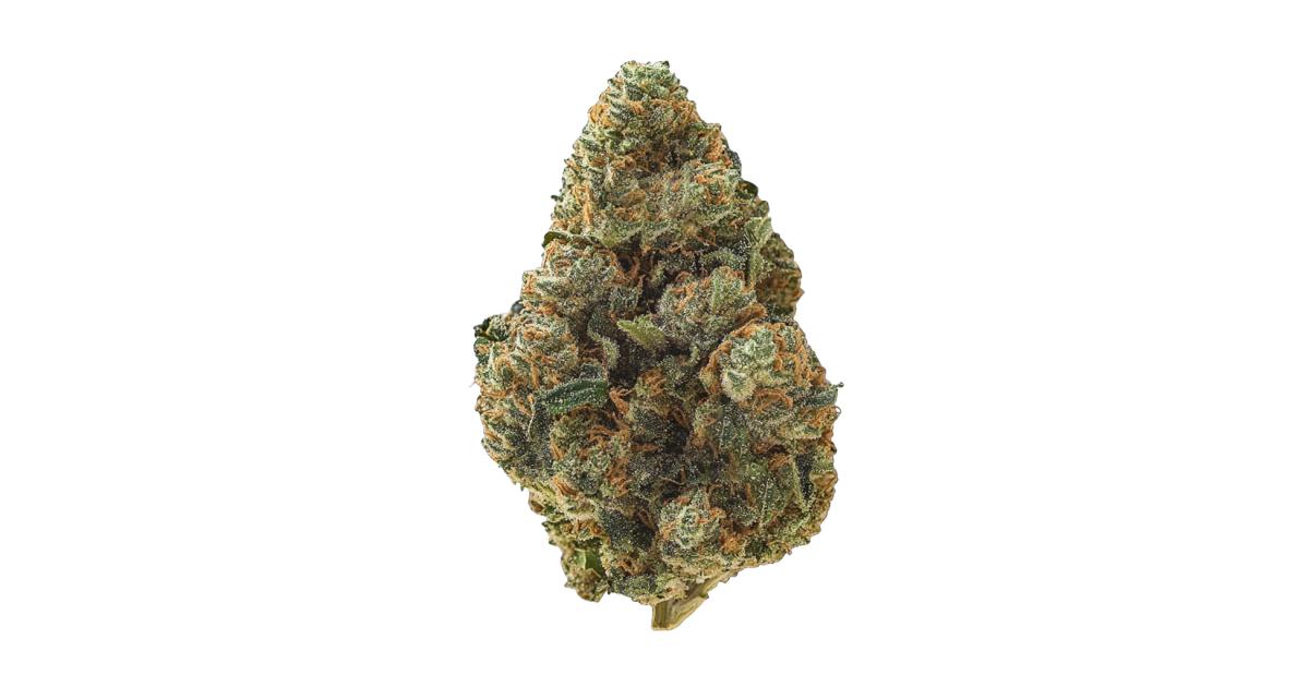 Zerbert Cannabis Strain Information - GrowDiaries