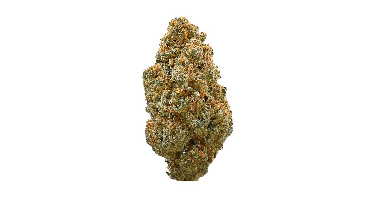 Great White Shark Cannabis Strain Information - GrowDiar...