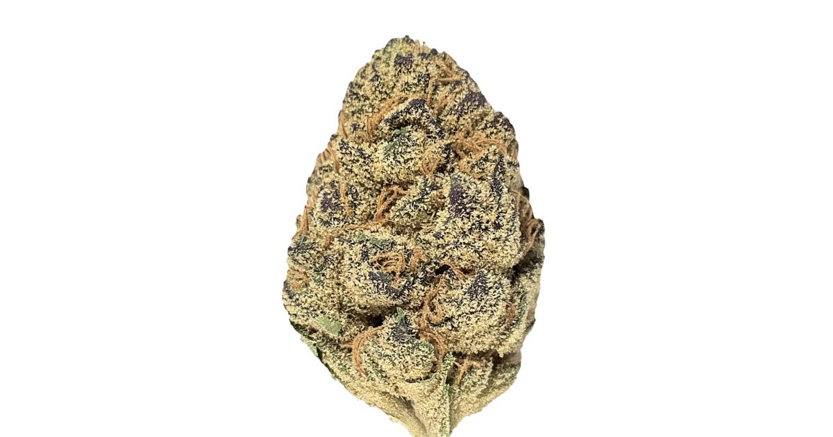 Sour Runtz Cannabis Strain Info - GrowDiaries