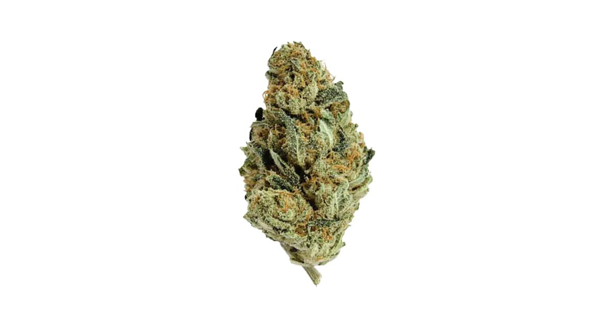 Chocolate Thai Cannabis Strain Information - GrowDiaries
