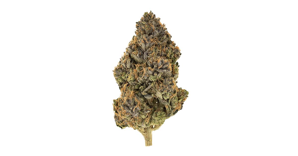Lemon Diesel Cannabis Strain Information - GrowDiaries