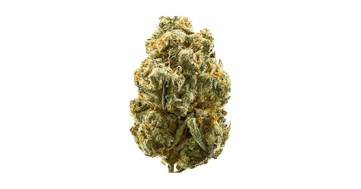 Gelato Cookies Cannabis Strain Information - GrowDiaries