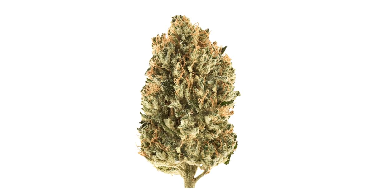 Headbanger Cannabis Strain Information - GrowDiaries