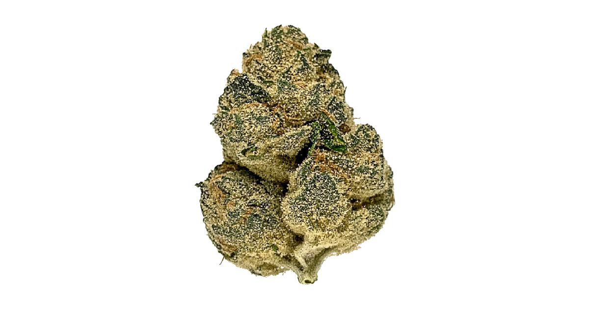 Headbanger Cannabis Strain Information - GrowDiaries