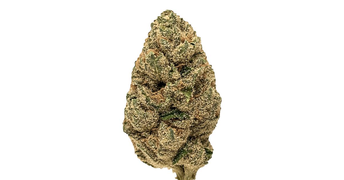 Lato Pop Cannabis Strain Information - GrowDiaries