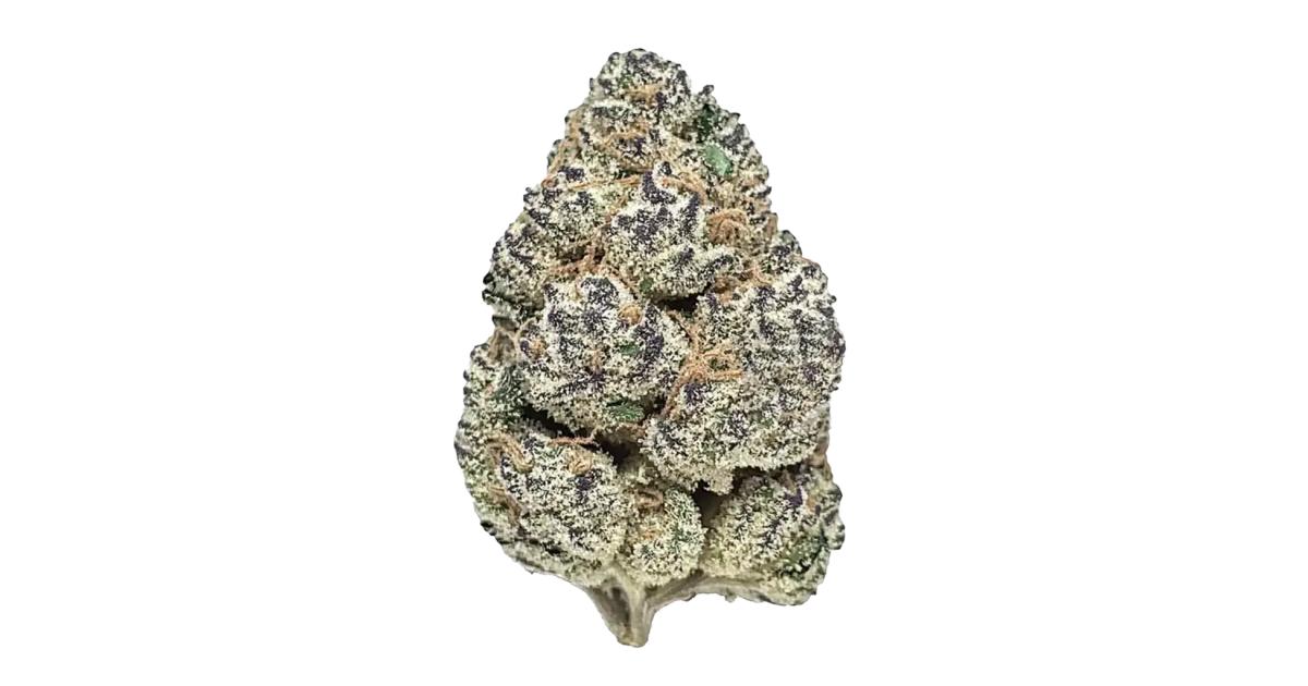 Sherbacio Cannabis Strain Information - GrowDiaries