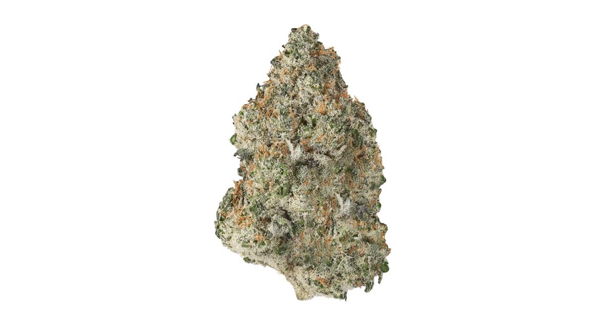 Sweet Cheesus Cannabis Strain Information - GrowDiaries