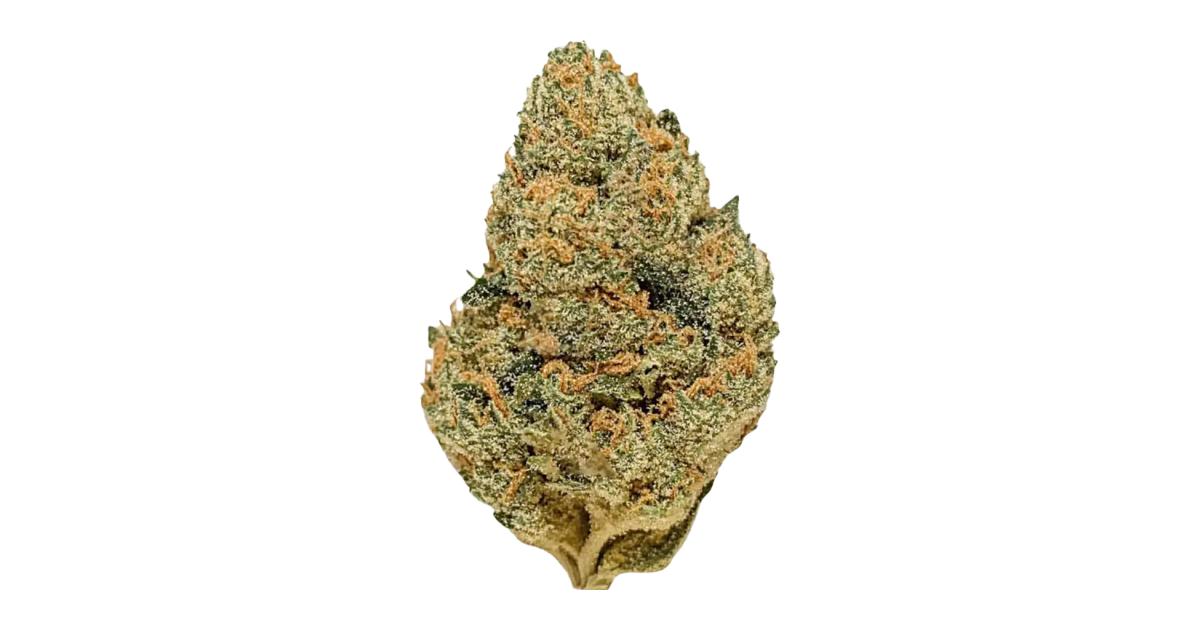 Cherry Limeade Cannabis Strain Information - GrowDiaries
