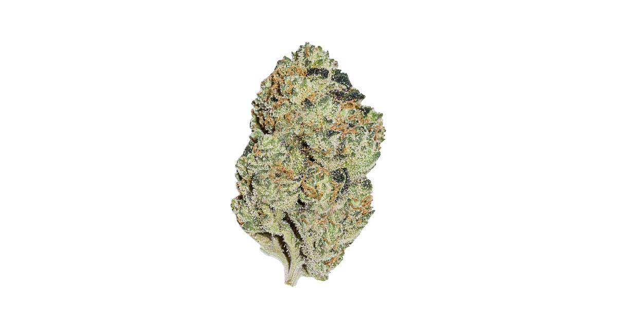 Gator Breath Cannabis Strain Information - GrowDiaries