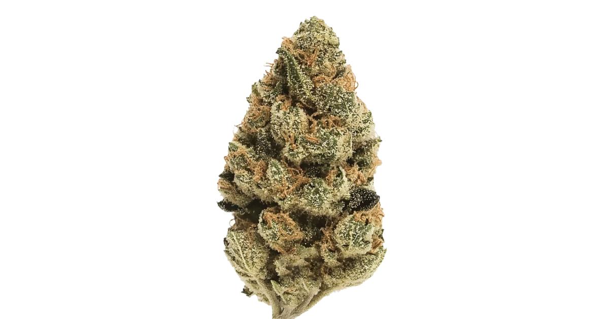 Candy Cane Cannabis Strain Reviews - GrowDiaries