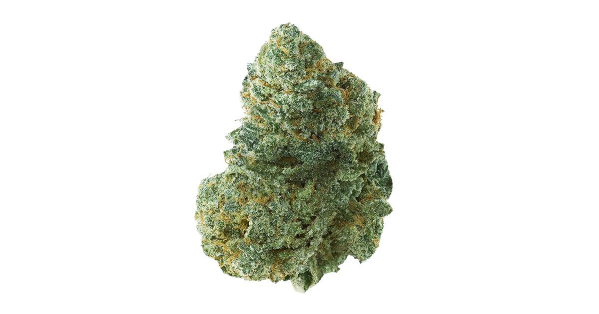 Rainbow Gak Cannabis Strain Information - GrowDiaries