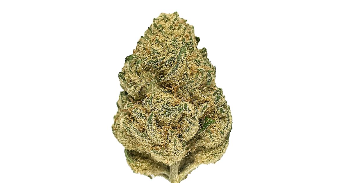 Pineapple Haze Cannabis Strain Information - GrowDiaries