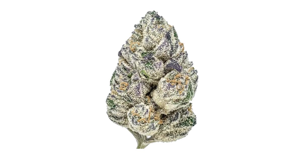 MAC Stomper Cannabis Strain Information - GrowDiaries