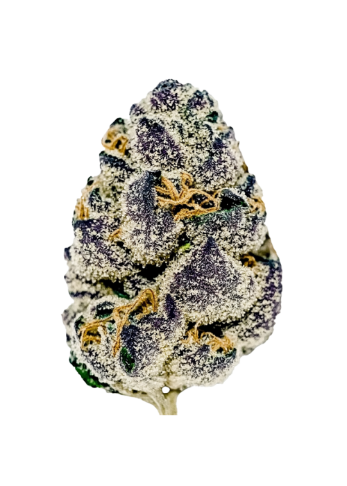 Red Runtz Cannabis Strain Information - GrowDiaries