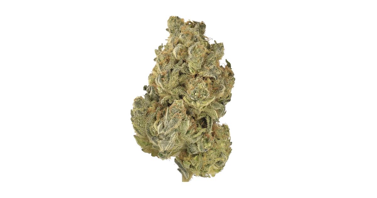 Honey Lemon Hibiscus Cannabis Strain by Maven Genetics I...