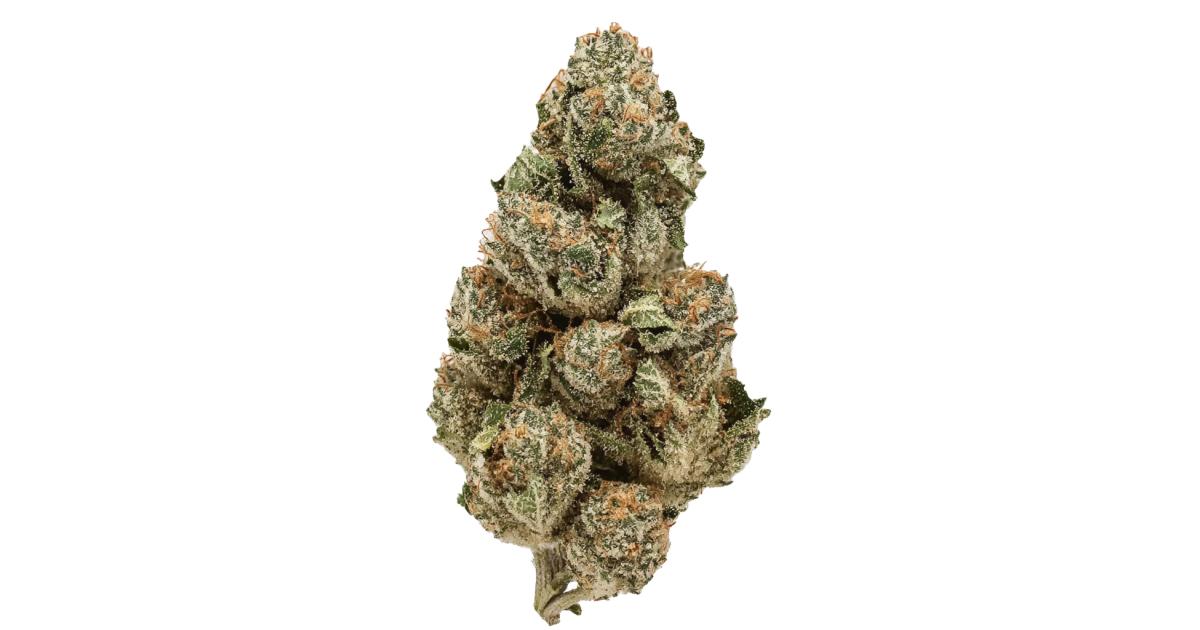 Jack Frost Cannabis Strain Information - GrowDiaries