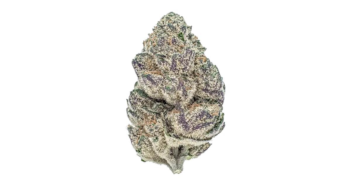 Sunset Runtz Cannabis Strain Information - GrowDiaries