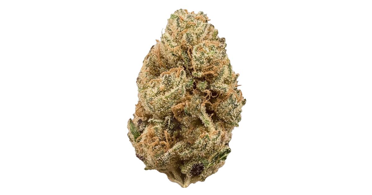 Bio-Jesus Cannabis Strain Information - GrowDiaries