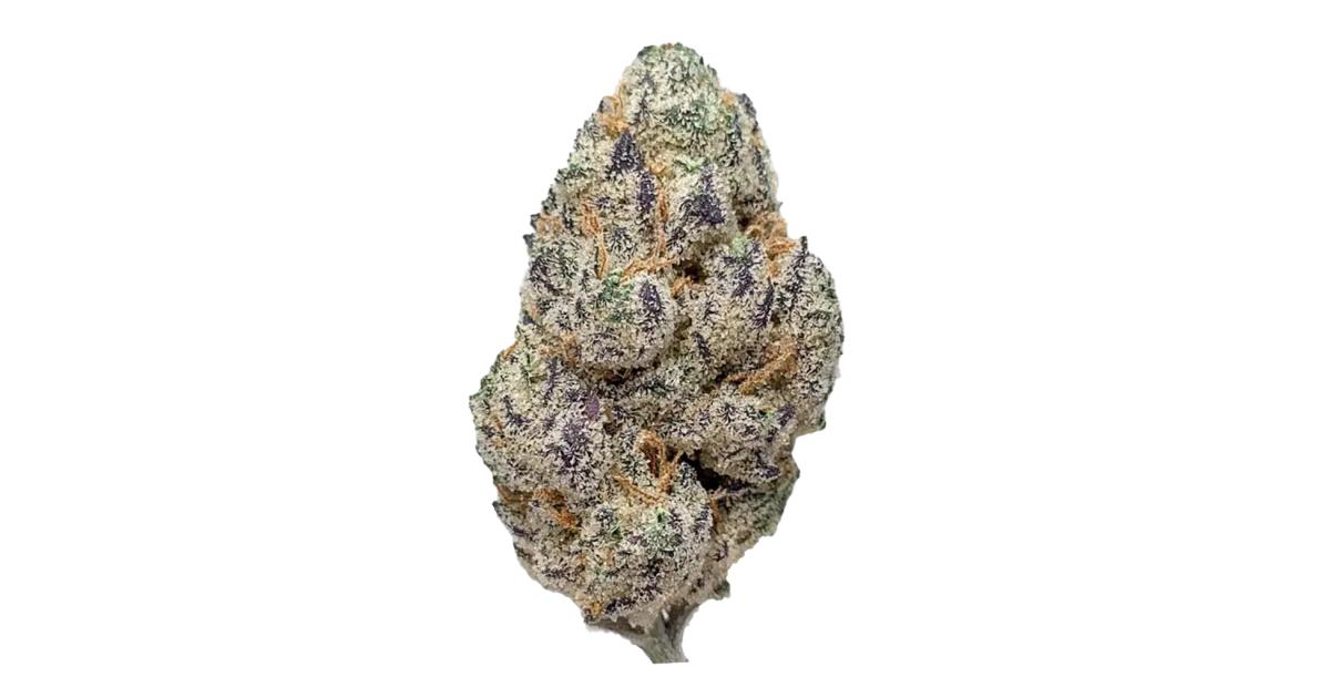Purple Raine Cannabis Strain Products - GrowDiaries