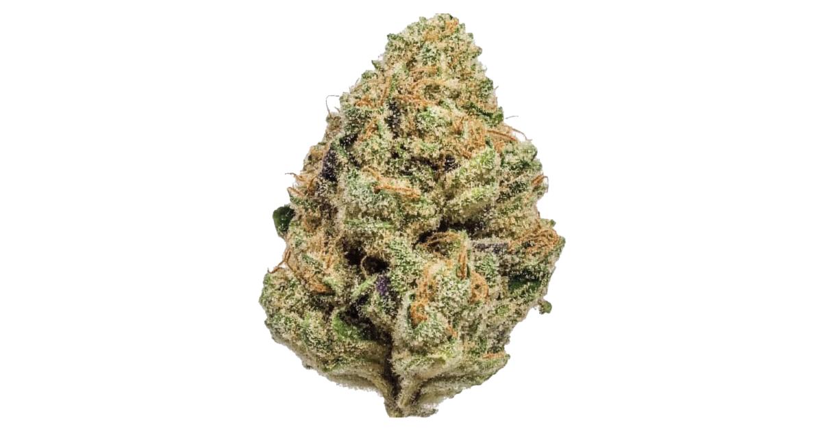 Black Afghan Cannabis Strain Info - GrowDiaries