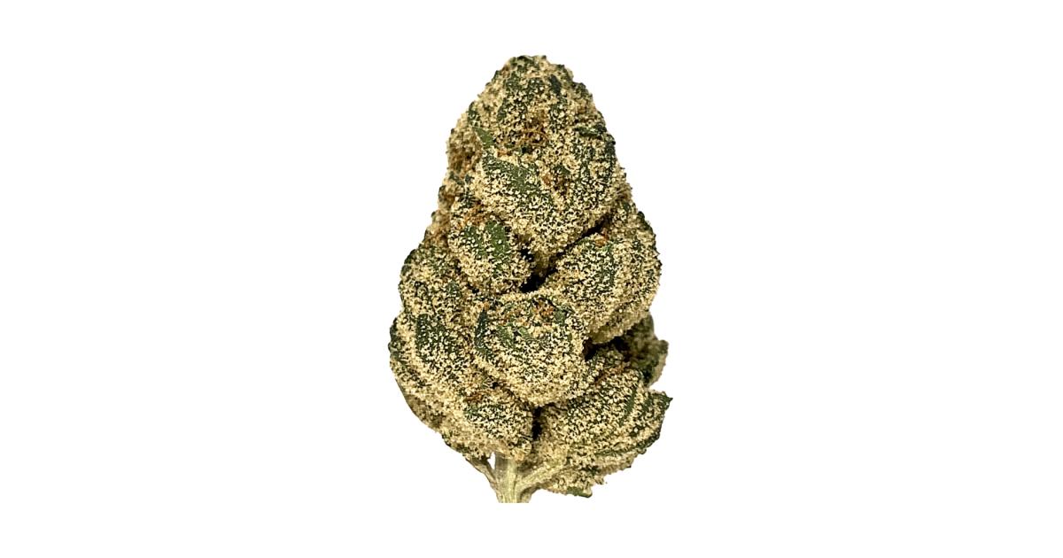 White 99 Cannabis Strain Information - GrowDiaries