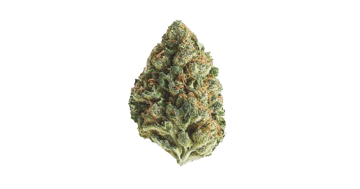 Planet of the Grapes Cannabis Strain Information - GrowDiaries