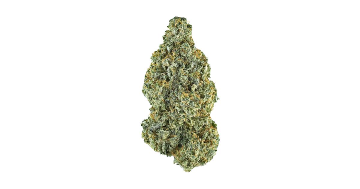 Big Tooth Cannabis Strain Information - GrowDiaries