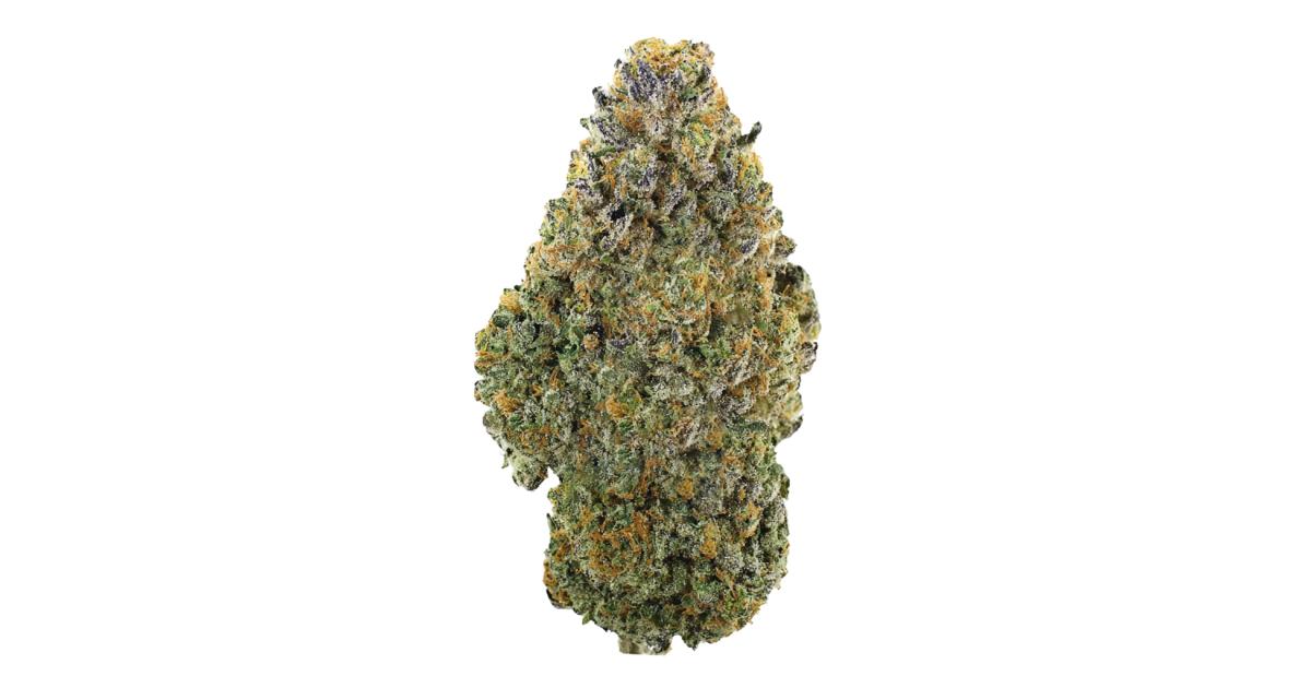 Mandarin Sunset Cannabis Strain Information - GrowDiaries