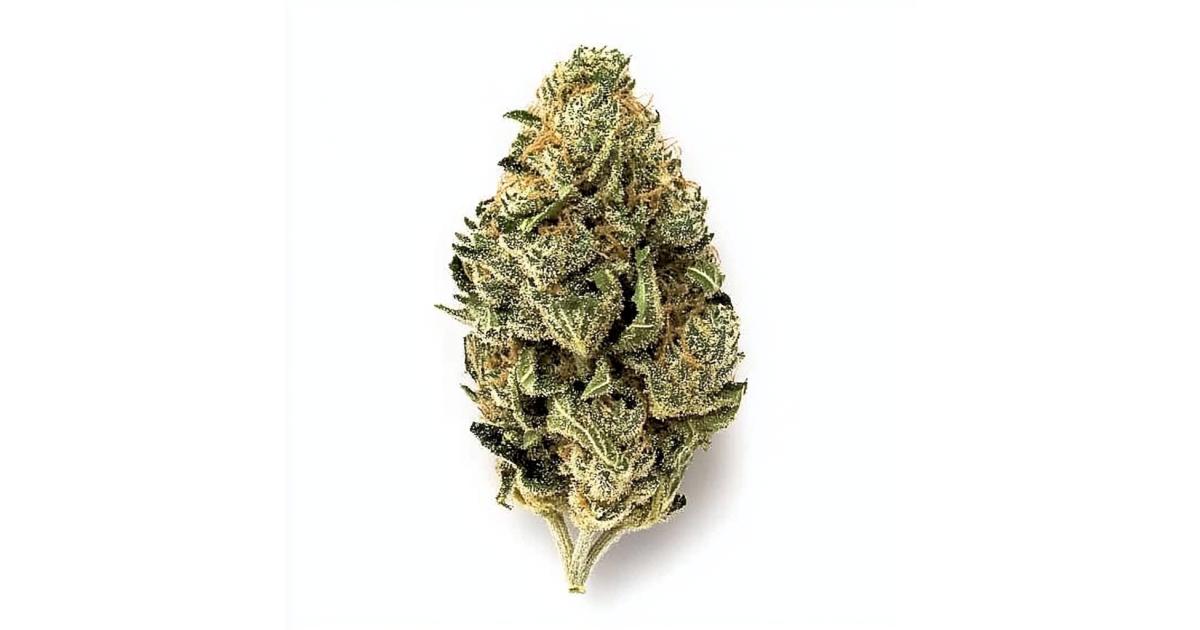 Bubba Kush Cannabis Strain Info - GrowDiaries