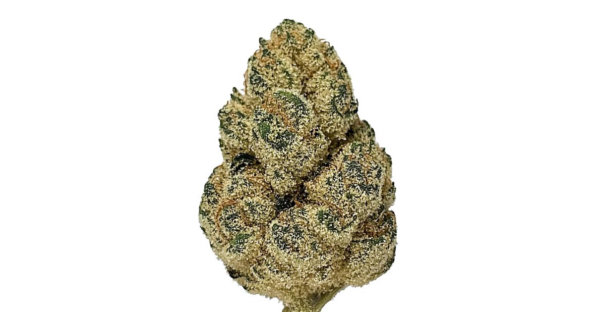 Wookies Cannabis Strain Information - GrowDiaries
