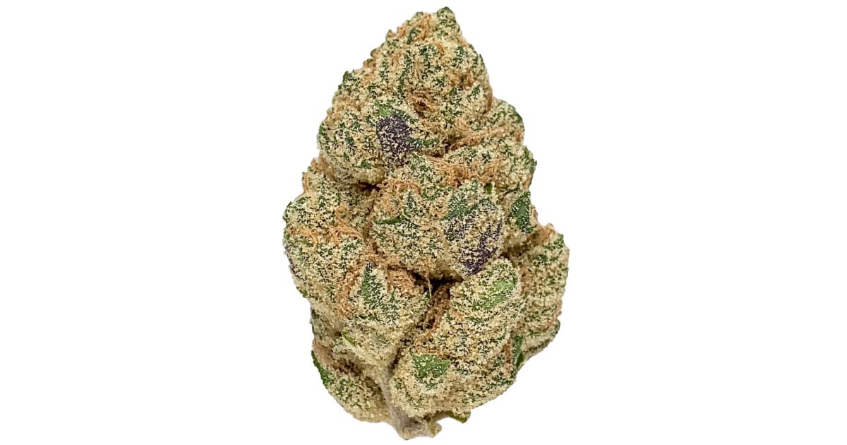 Sticky Buns Cannabis Strain Information - GrowDiaries