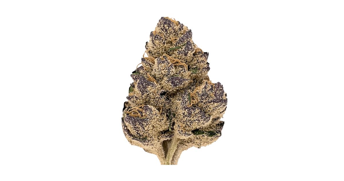 Blue Power Cannabis Strain Information - GrowDiaries