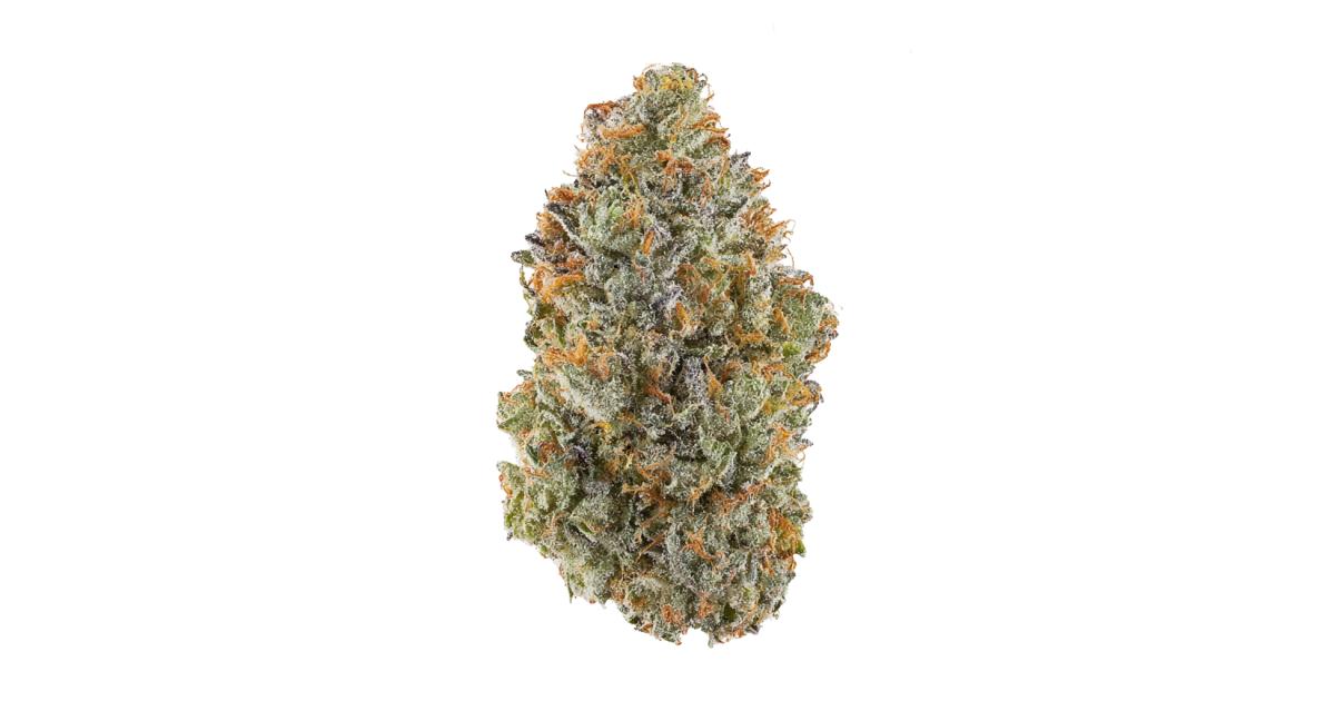 Platinum Bubba Kush Cannabis Strain Information - GrowDia...
