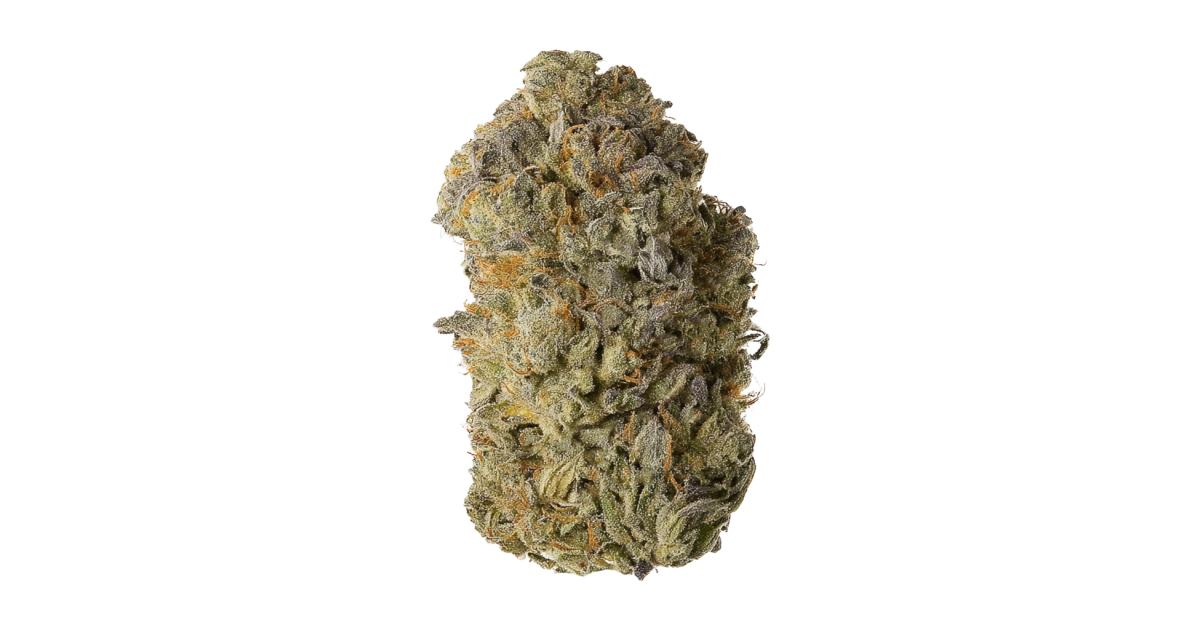 Kosher Berry Cannabis Strain Information - GrowDiaries
