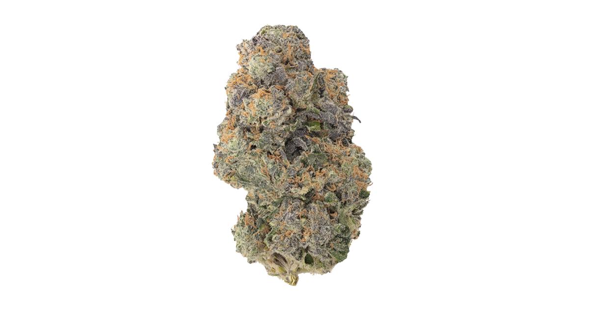 Mango Mintality Cannabis Strain Information - GrowDiaries