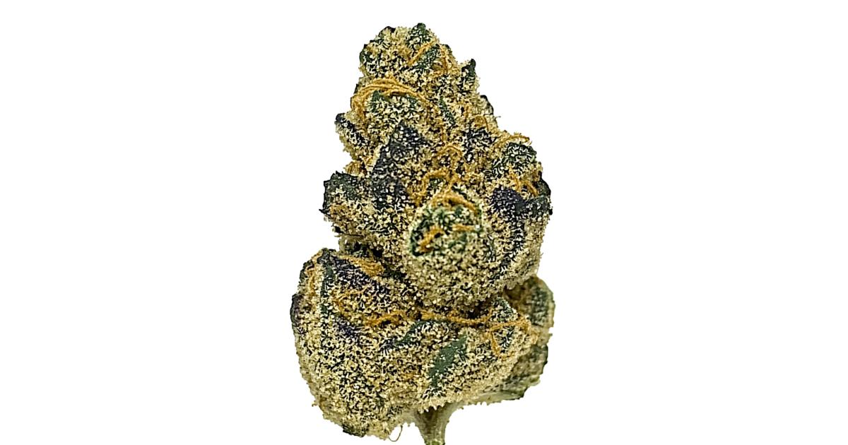 Mango Mintality Cannabis Strain Information - GrowDiaries