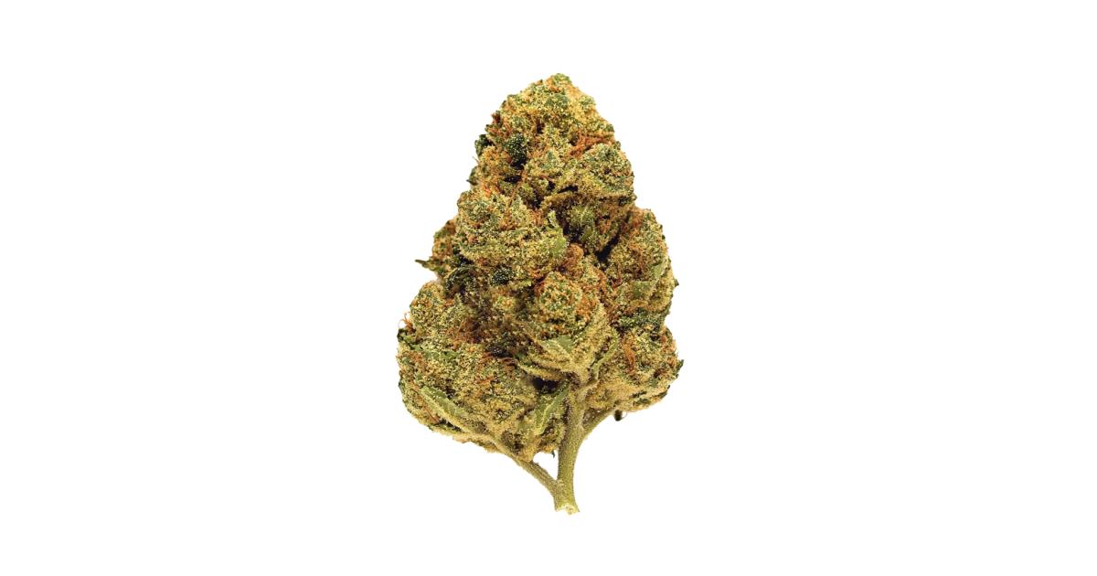 Lemon Cookies Cannabis Strain Information - GrowDiaries