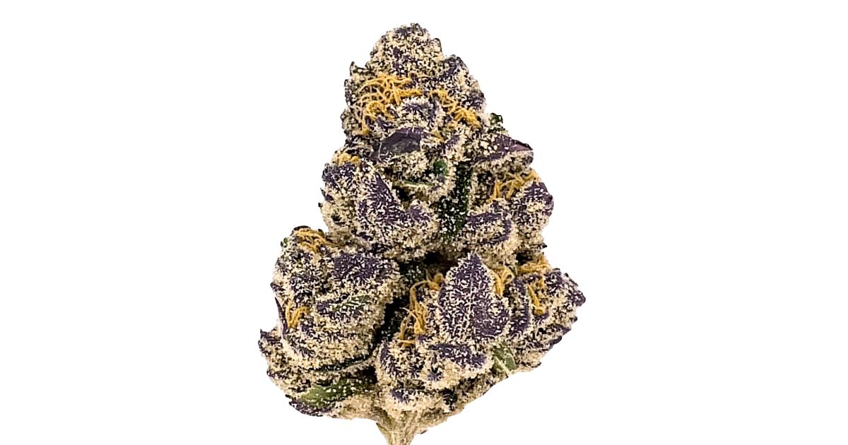 Ya Hemi Cannabis Strain Information - GrowDiaries Ya Hemi Cannabis Strain Information - GrowDiaries